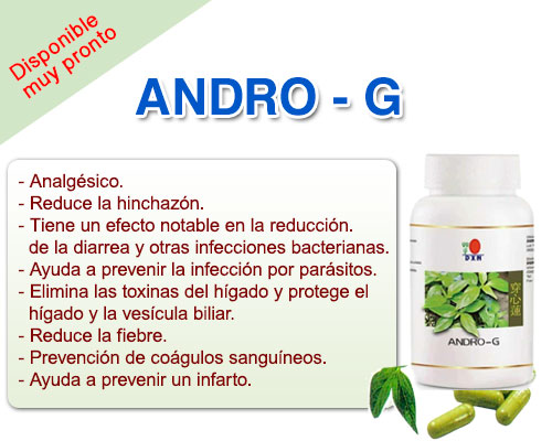 Ganoderma DXN España - Distribuidor independiente | Café con ganoderma